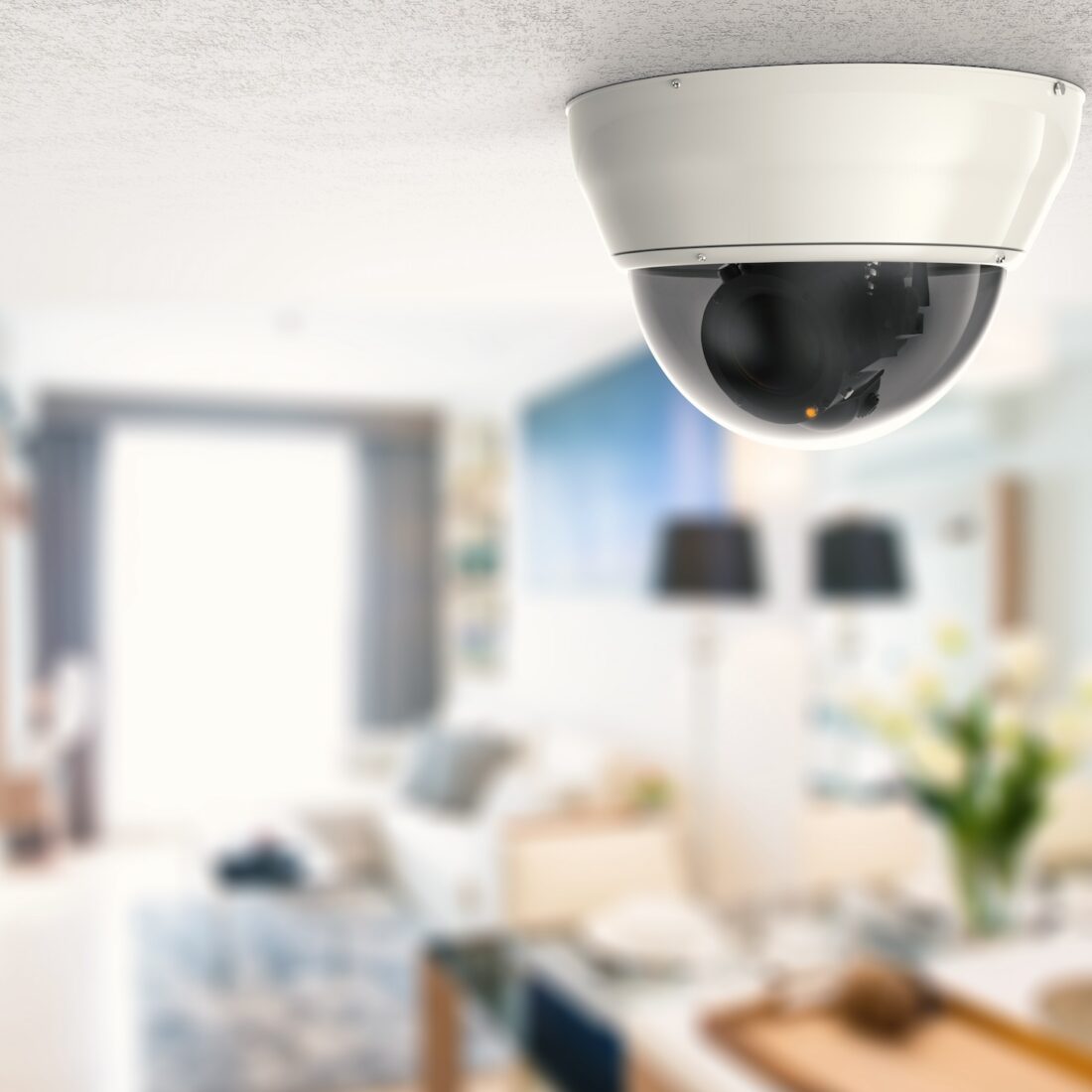 SG Network Services - Home - SG Network Services